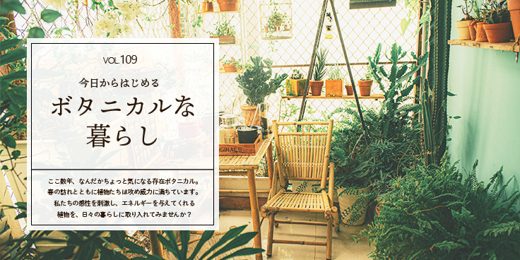 TaoMiyu's Portfolio - Work